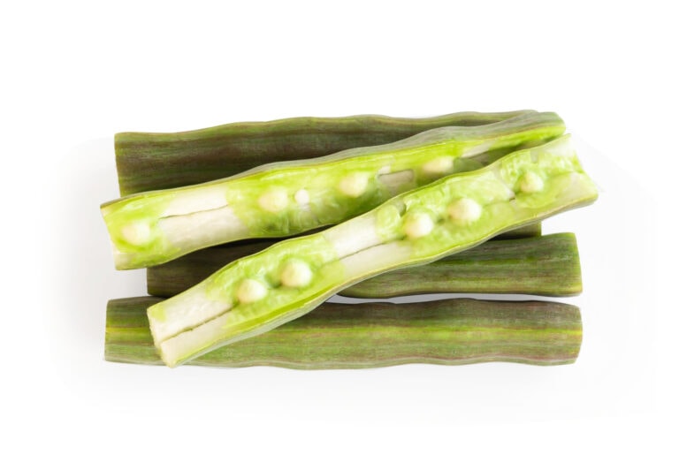 When Is The Best Time To Plant Moringa Seeds? [And How?] - Morning Gardens